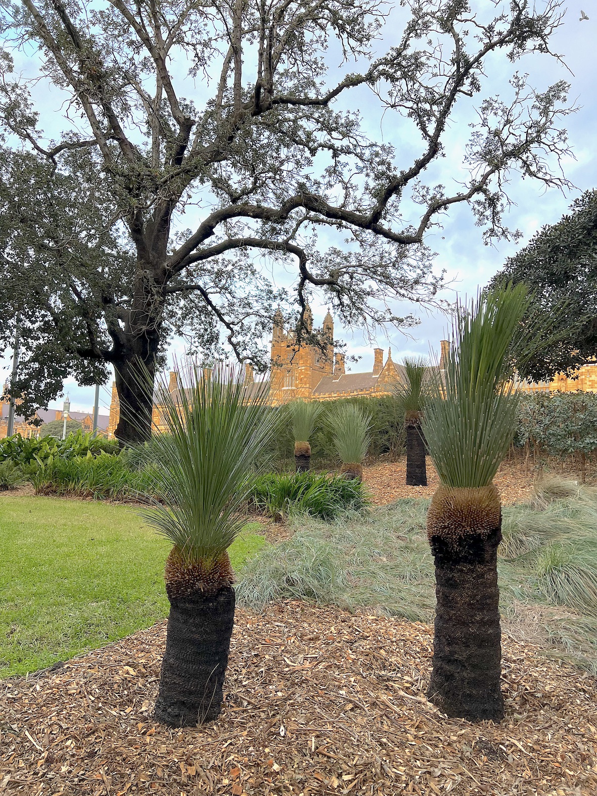 Series 6: Learning Landscapes – Transdisciplinary Research Science